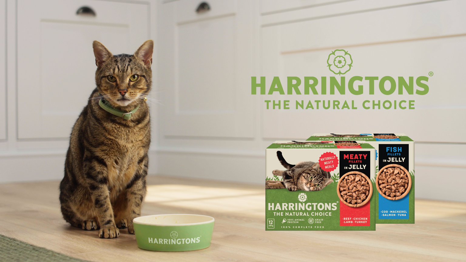The Hunt is Over for Naturally Meatier Meals in our new cat TV ad ...