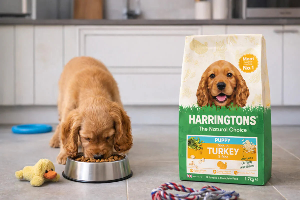Puppy Dry Dog Food Made with Natural Goodness | Harringtons ...