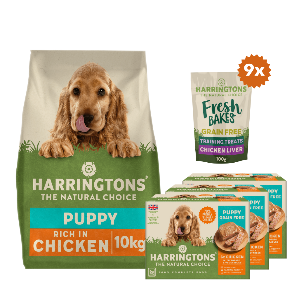 Puppy Starter Pack – Harringtons Pet Food