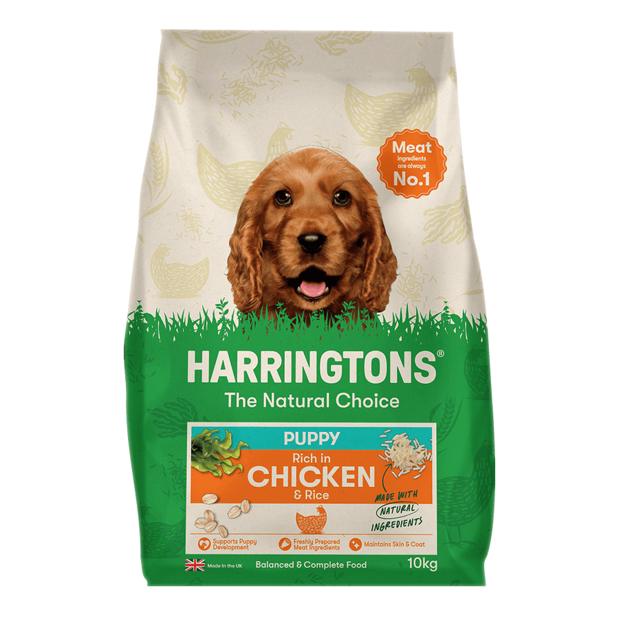 Puppy Dog Food for a Great Start | Harringtons – Harringtons Pet Food
