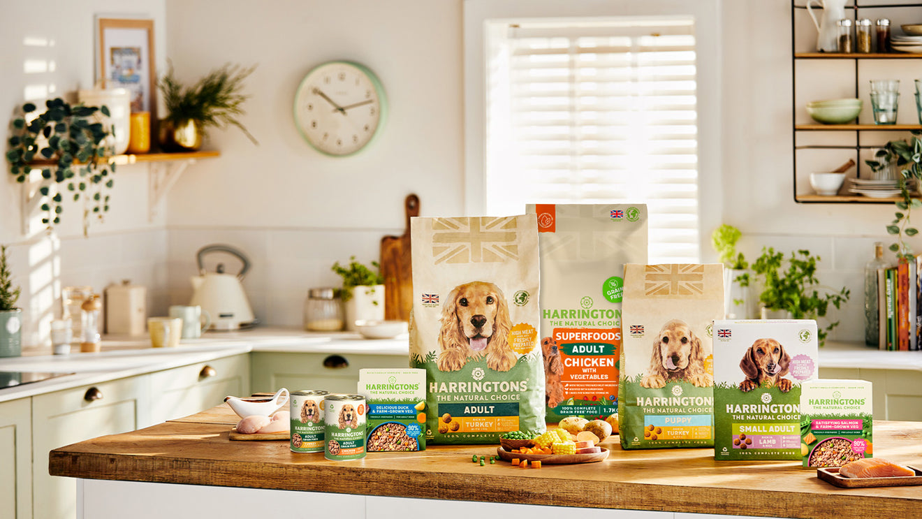 Harringtons Dog Food - Packed with Goodness & Flavour - All Natural ...