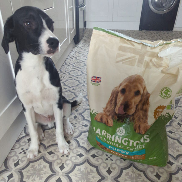 Harringtons Pet Food | Natural For All
