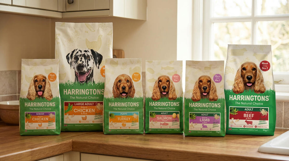 Harringtons Dog Food - Packed with Goodness & Flavour - All Natural ...