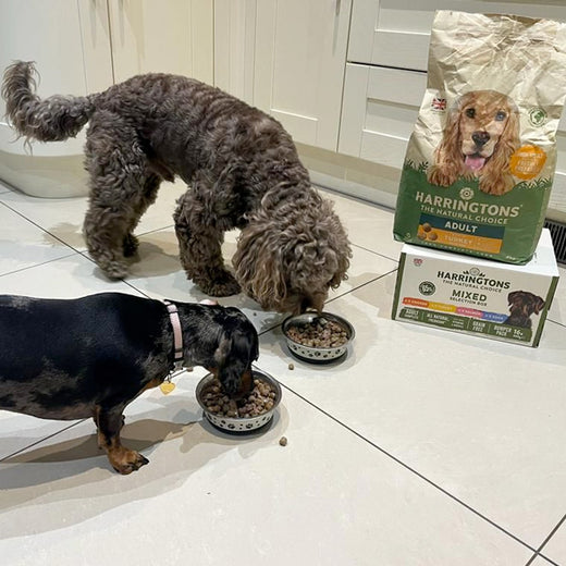 Harringtons Pet Food | Natural For All