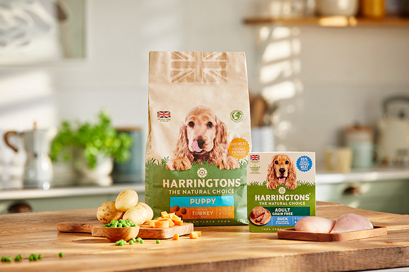 Harringtons Puppy Food – Harringtons Pet Food