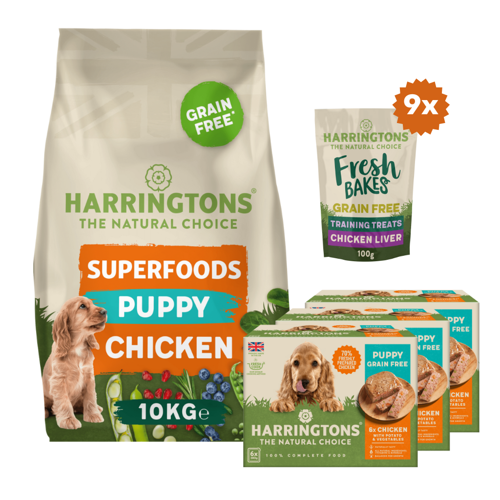 Superfoods Puppy Starter Pack. – Harringtons Pet Food