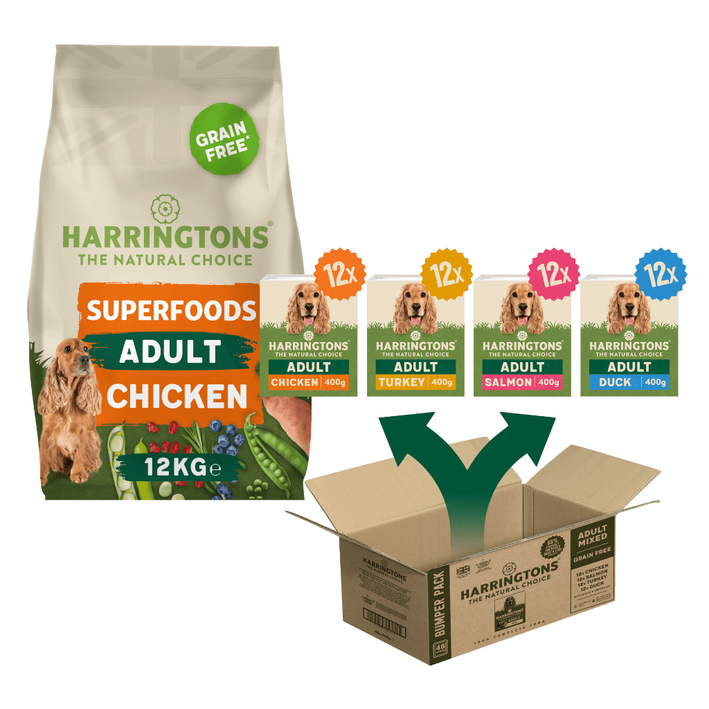 Superfoods Starter Pack – Harringtons Pet Food